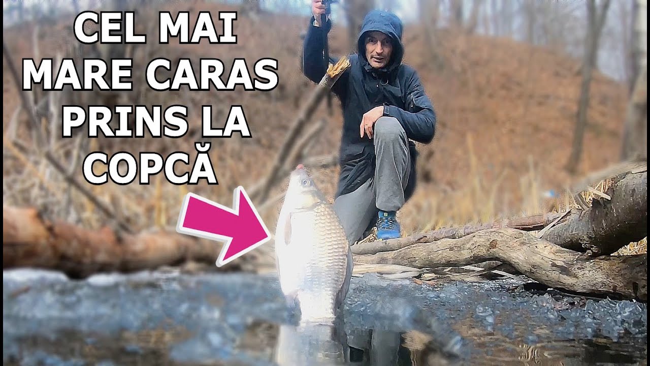 LOC NOU de Pescuit La Copca 2025 - Lacul Sălbatic cu MULȚI CARASI si ...