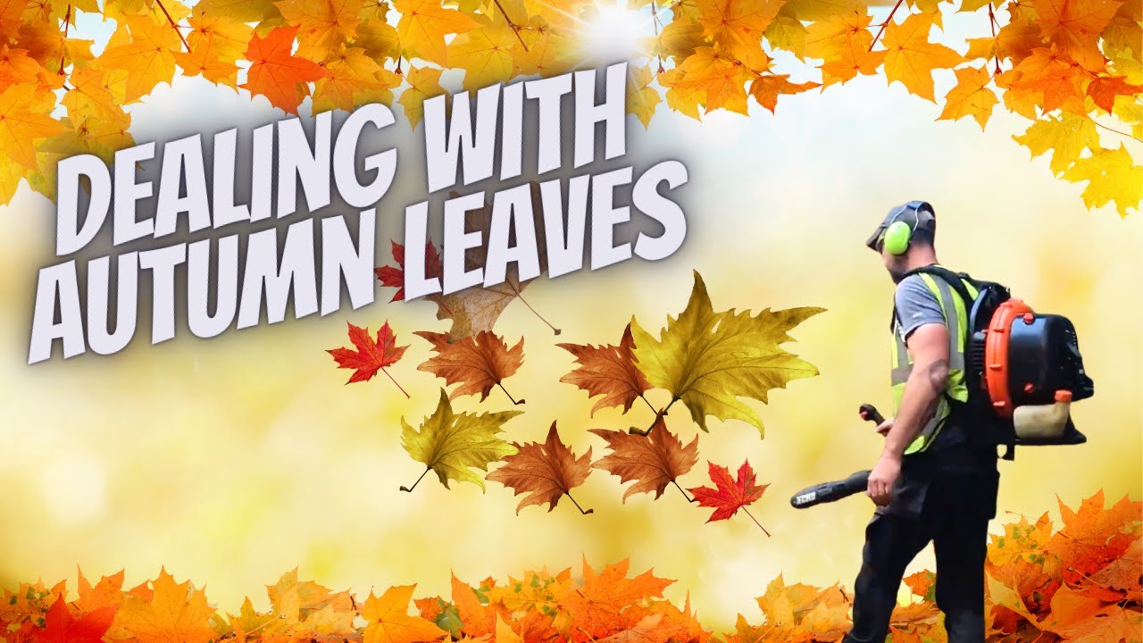 Autumn leaves and proving you’ve done the work #lewisgardenservicesltd ...