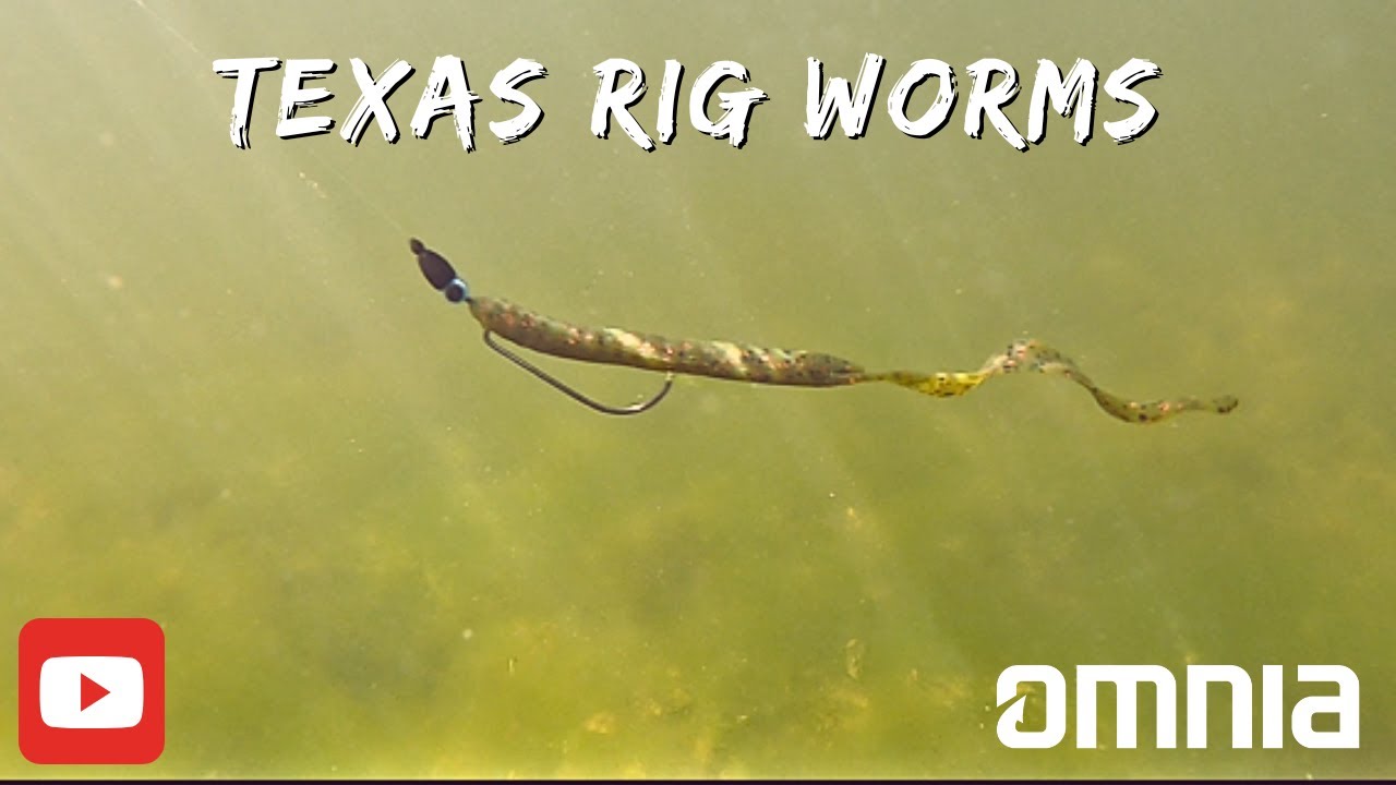 “Mastering Texas Rig Worms: Underwater Secrets Revealed!” - YouTube