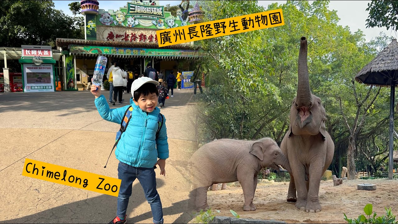Chimelong Zoo (FUN DAY IN GZ!) 廣州長隆野生動物園 - YouTube