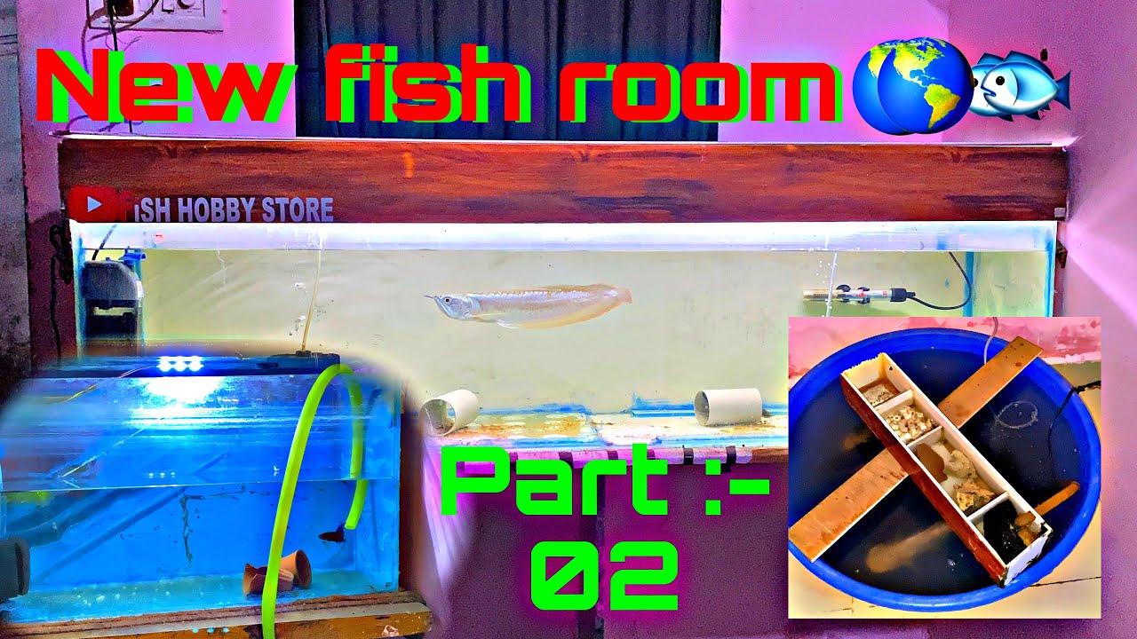 Part 2 | my new fish room tour | my home aquariums #myhome - YouTube