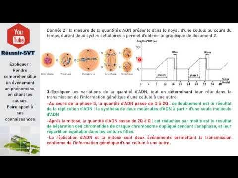 unité 2 chapitre 1 exercice 1 - YouTube