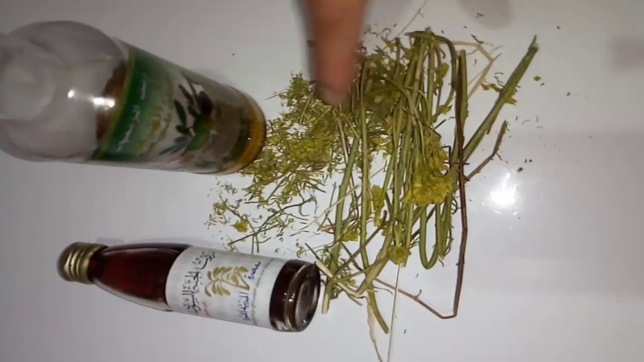 فوائد الفيجل المذهلة وطريقة استخدامه - YouTube