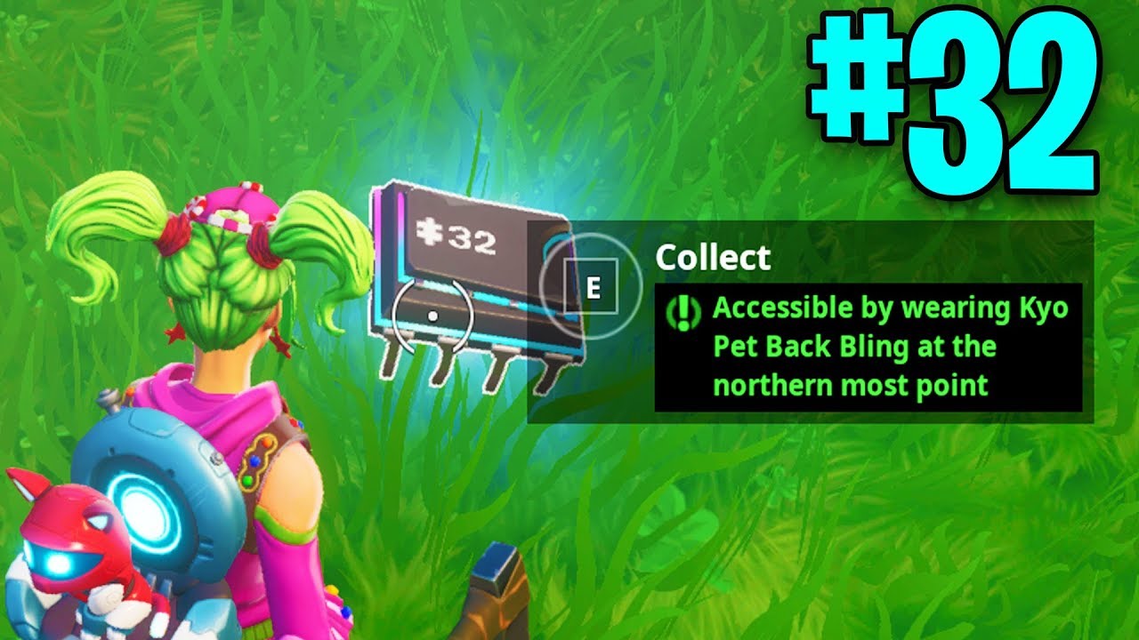 FortByte #32 - ACCESSIBLE BY WEARING KYO PET BACK BLING AT THE NORTHERN ...