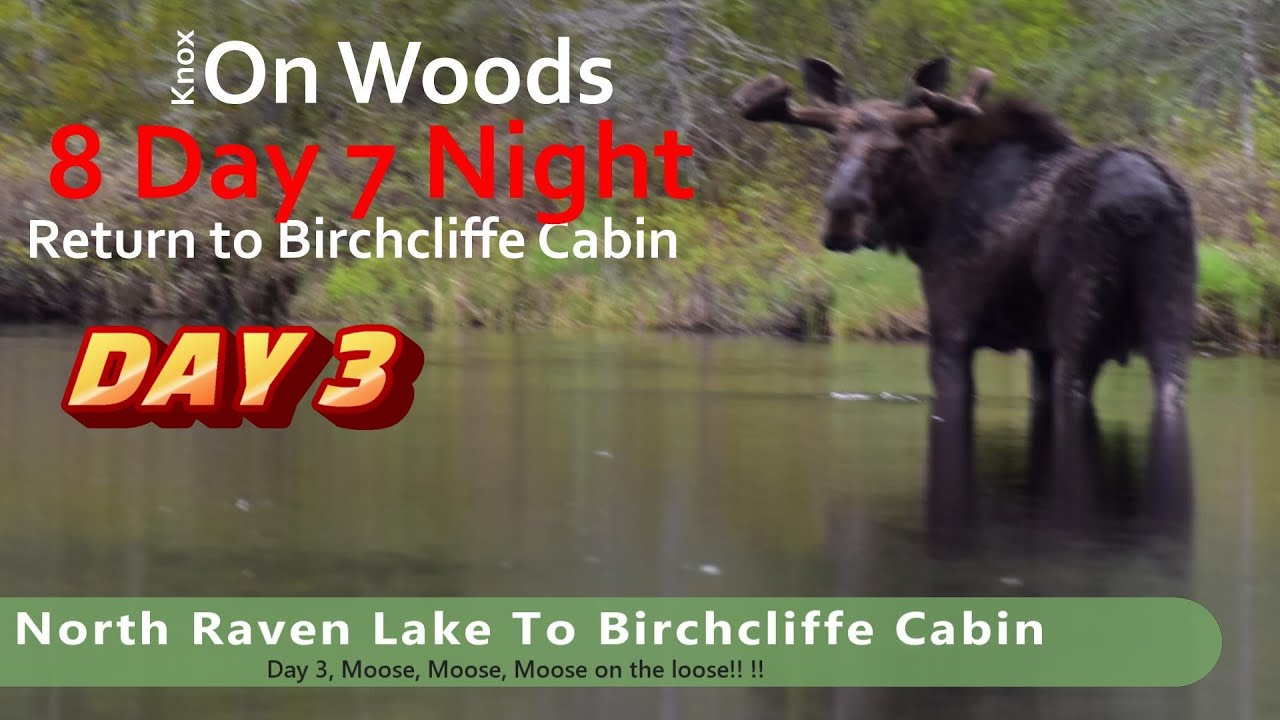 Algonquin Park Ice Out Trip, The Return To Birchcliffe Cabin! Day 3 ...