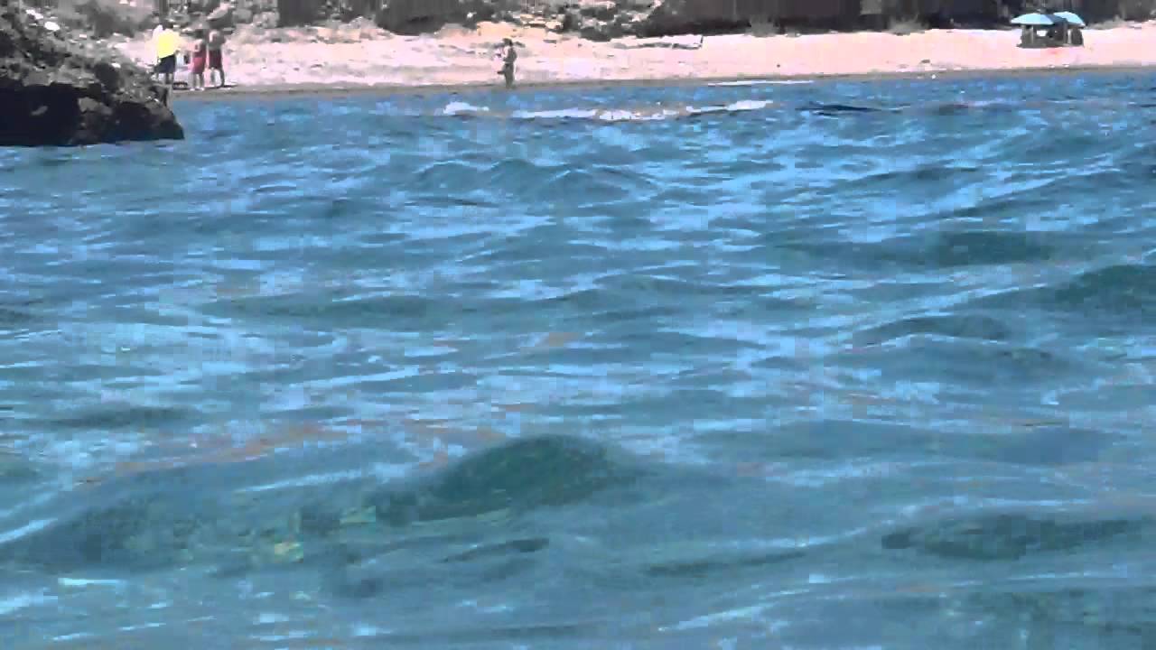ΥΠΟΒΡΥΧΙΟ ΒΙΝΤΕΟ ΠΑΛΙΟΠΟΛΗ - YouTube