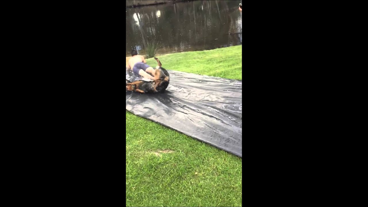 Water slide dog fail - YouTube