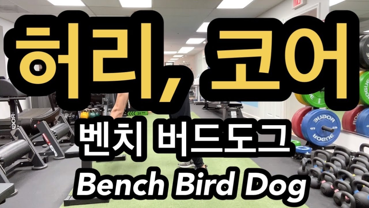 (허리, 코어) 벤치 버드 도그 (Bench Bird Dog) - YouTube