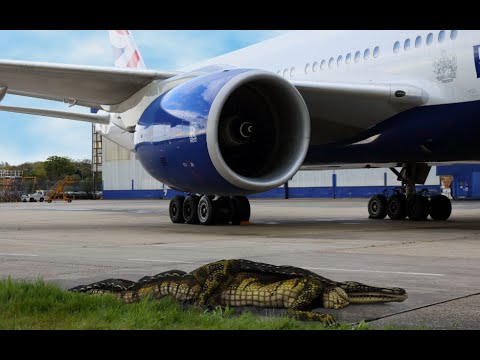 British Airways see you later alligator - YouTube