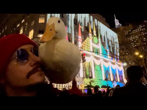 Wrinkle the Duck wants to see the Christmas Lights in NYC - YouTube
