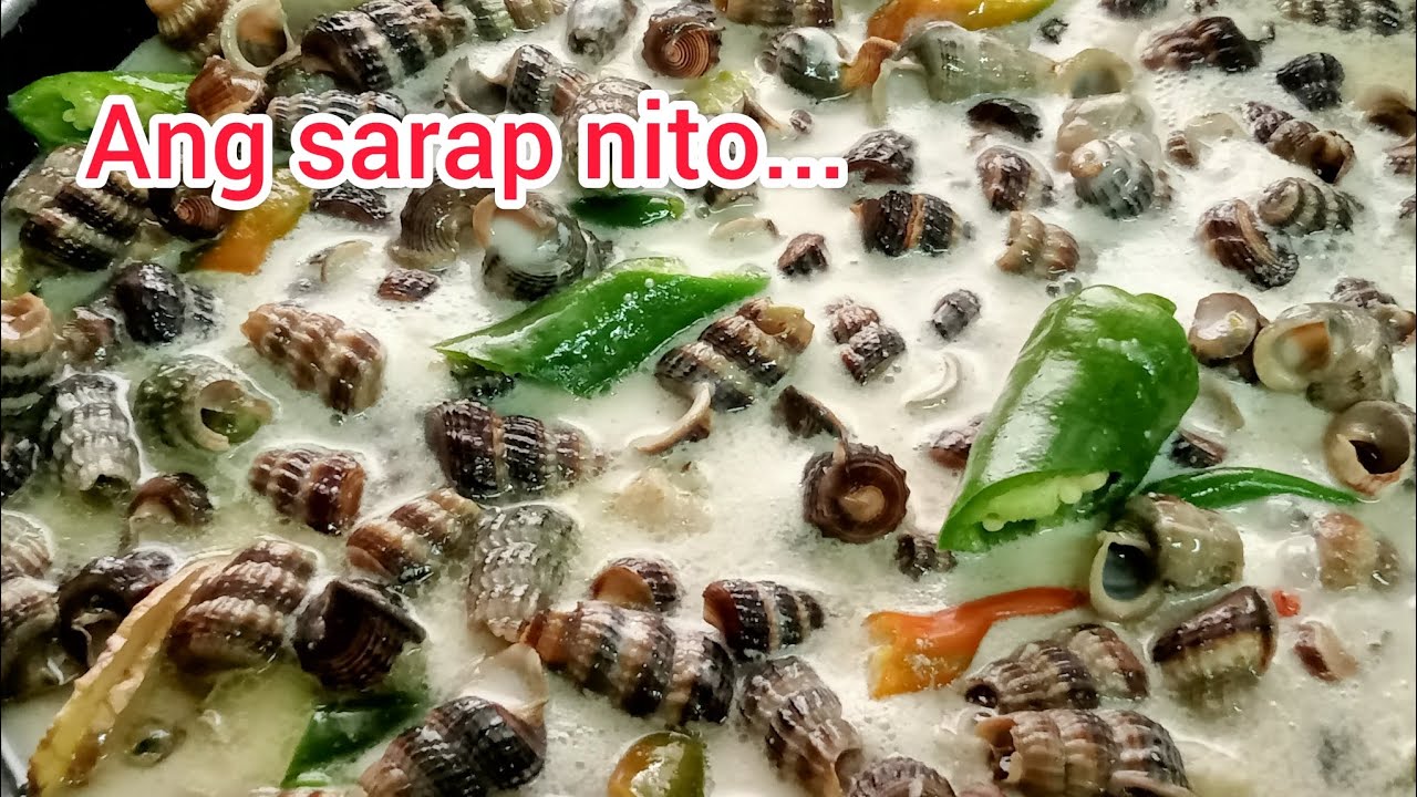 Cooking Horn Snails/Ginataan Gabi & takway with Suso.#probensya # ...