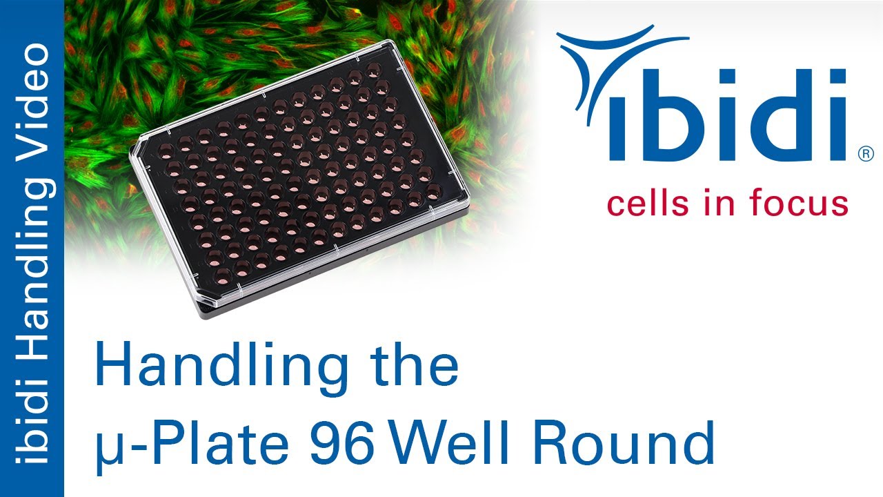 Handling the µ-Plate 96 Well Round - YouTube