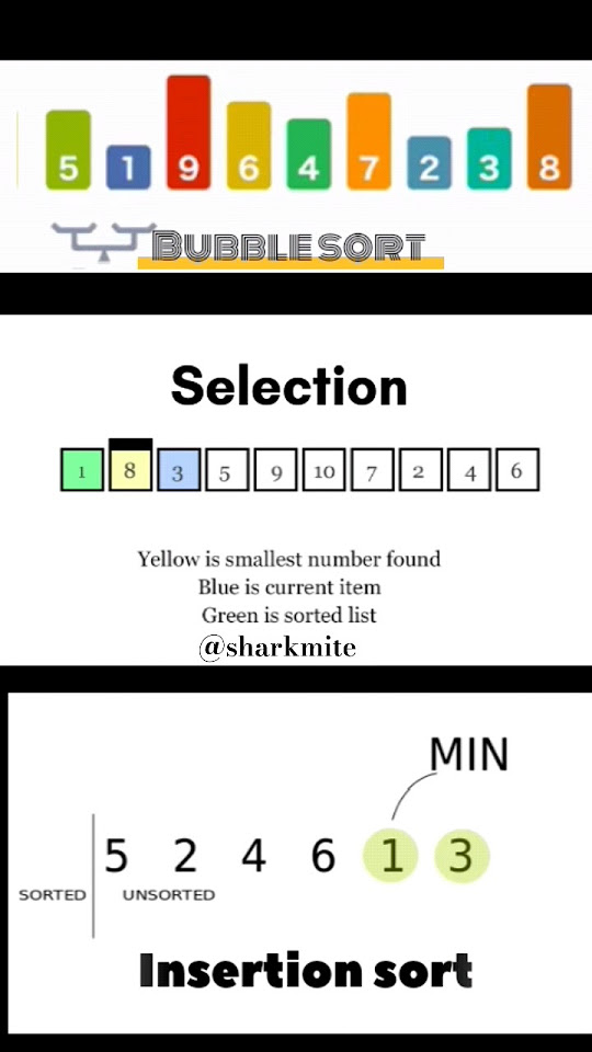 Bubblesort Selection Sort Insertion Sort Functioncoding Programming Youtube 6725