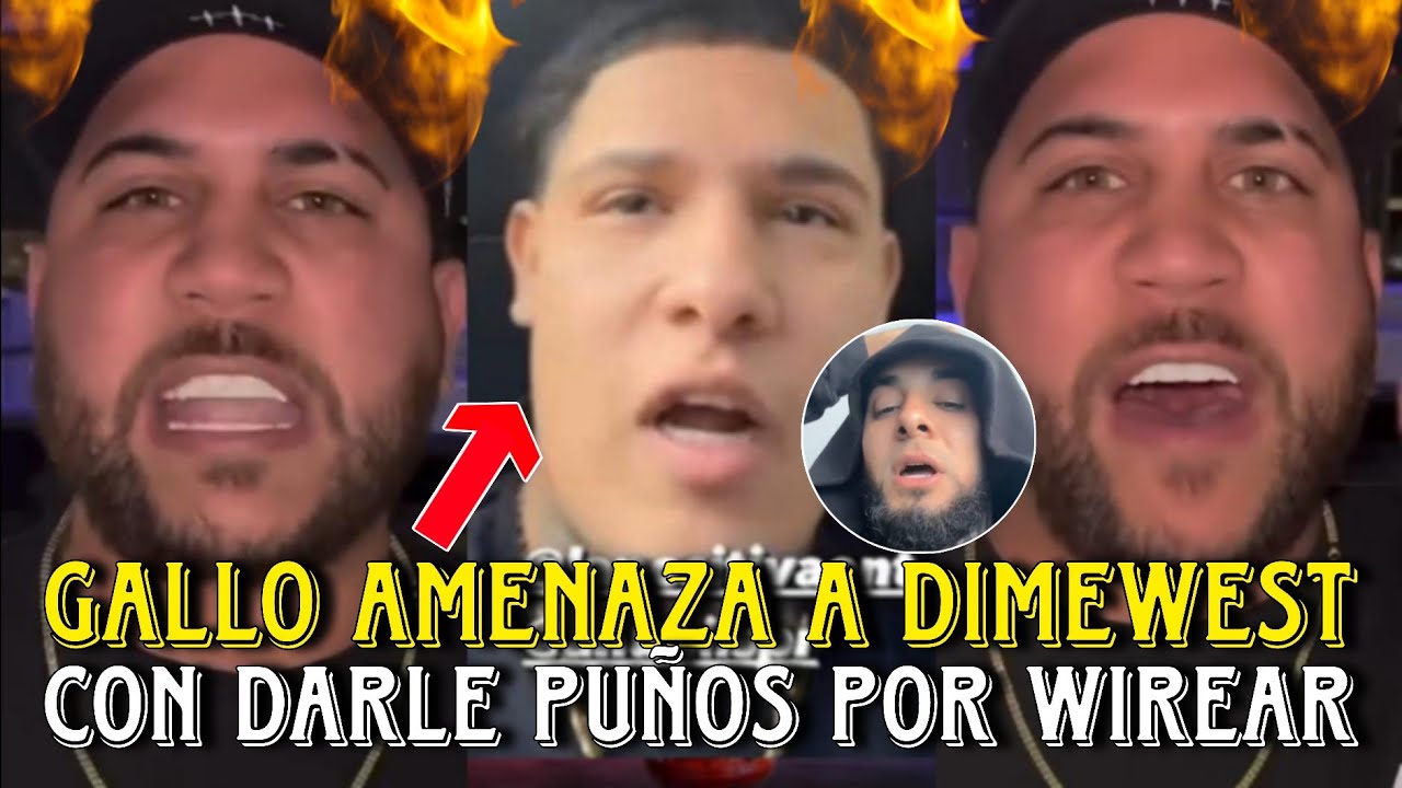 PELEA 🔥 Gallo AMENAZA con dar PUÑOS a DimeWest por wirear a Los Pulpos ...