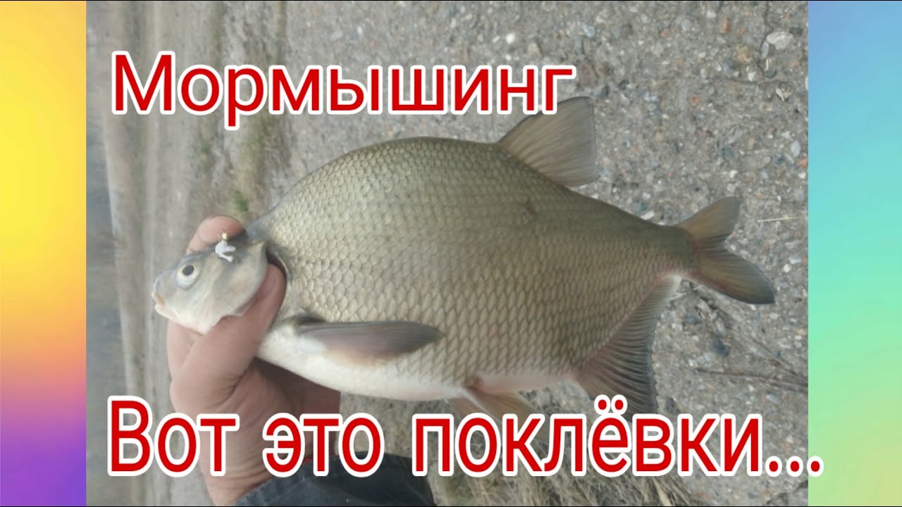 Мормышинг. Вот это поклевки.... - YouTube