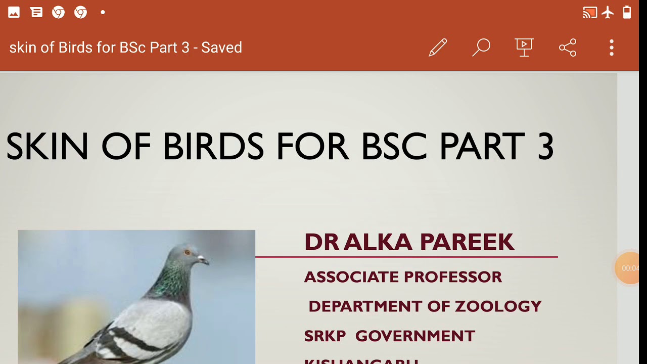 Skin of Bird, For BSc Part 3, By Dr Alka Pareek Zoology. - YouTube