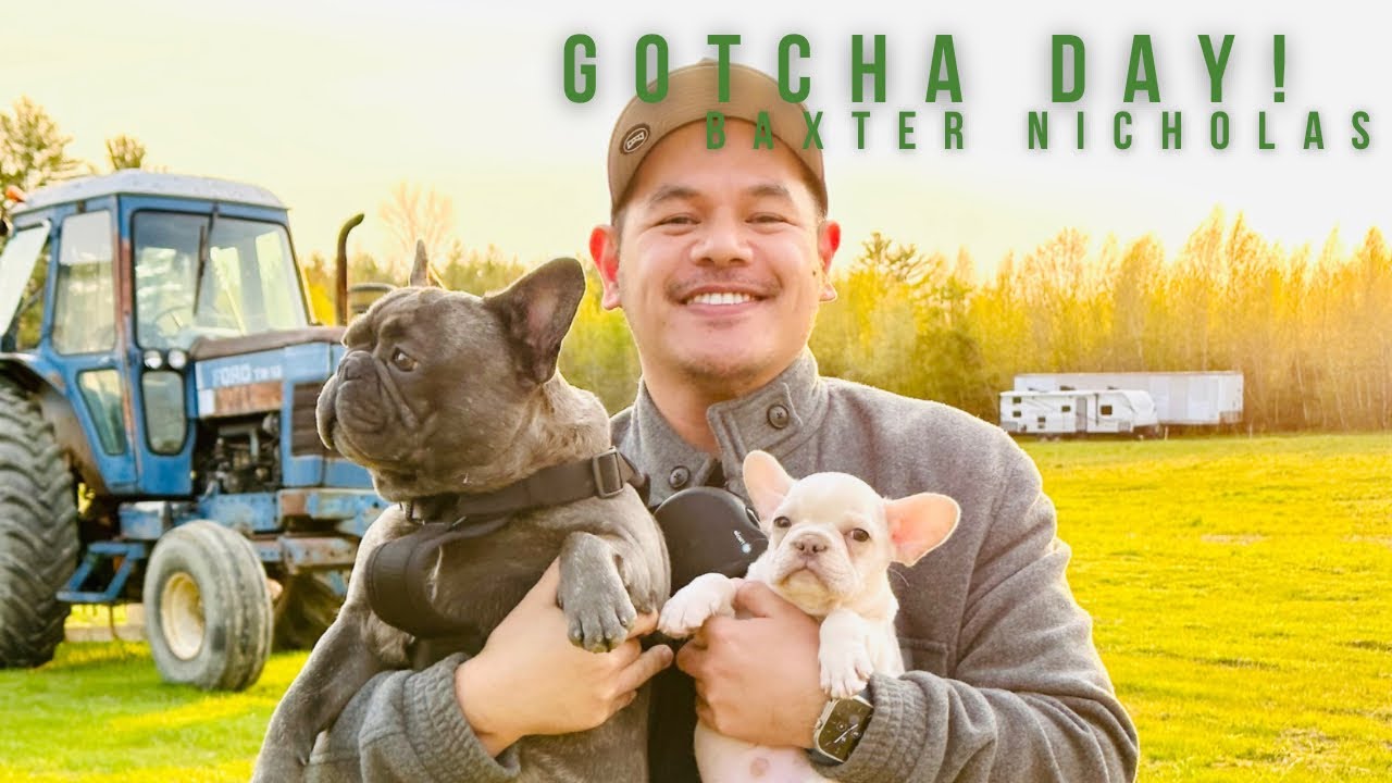 LOGAN MEETS HIS BROTHER, BAXTER! - YouTube