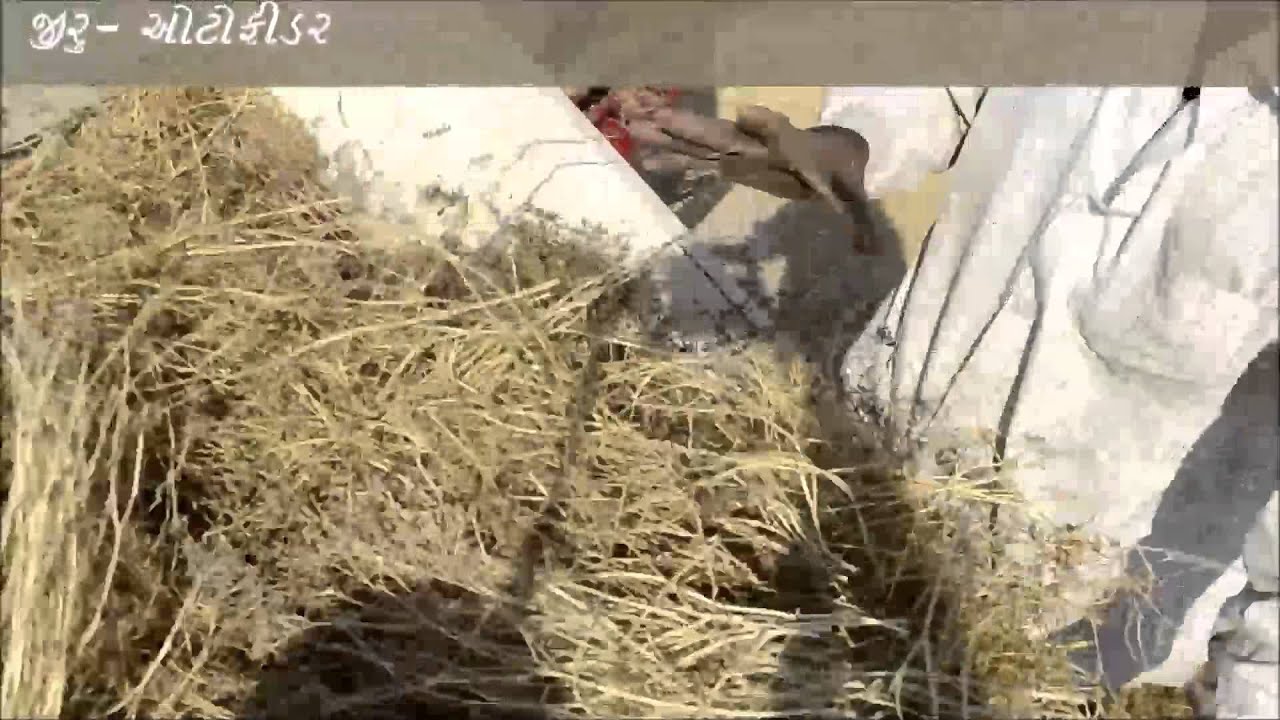 Samrat Thresher India -CUMIN SEED(JEERU) - YouTube