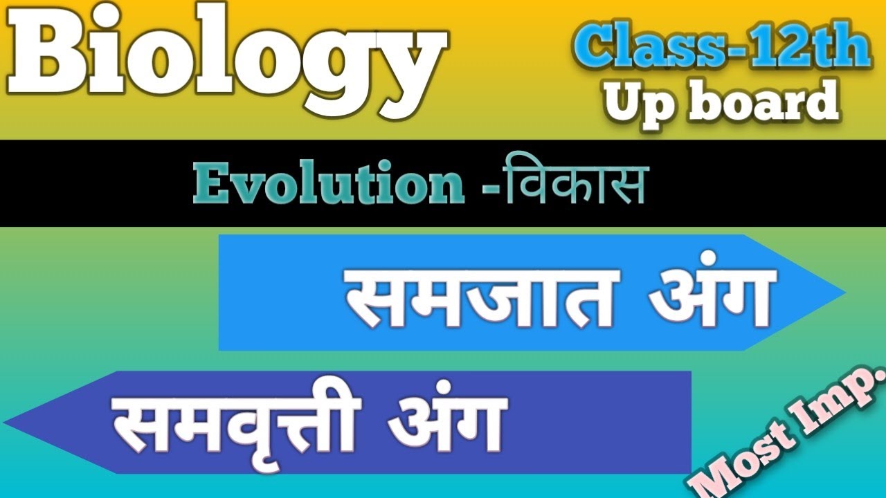 UpBoard Class-12th Biology ||Homologous Organs And Analogous Organs ...