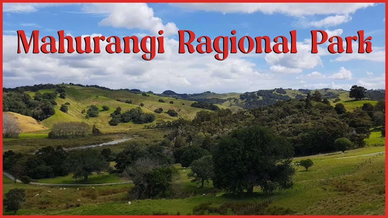 Mahurangi Regional Park - Auckland, New Zealand - YouTube