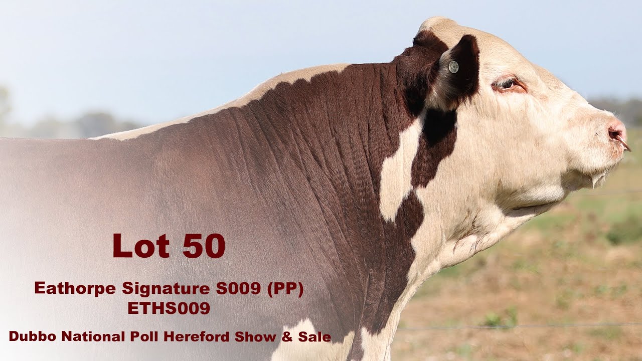 Lot 50 Eathorpe Signature S009 (PP) - YouTube