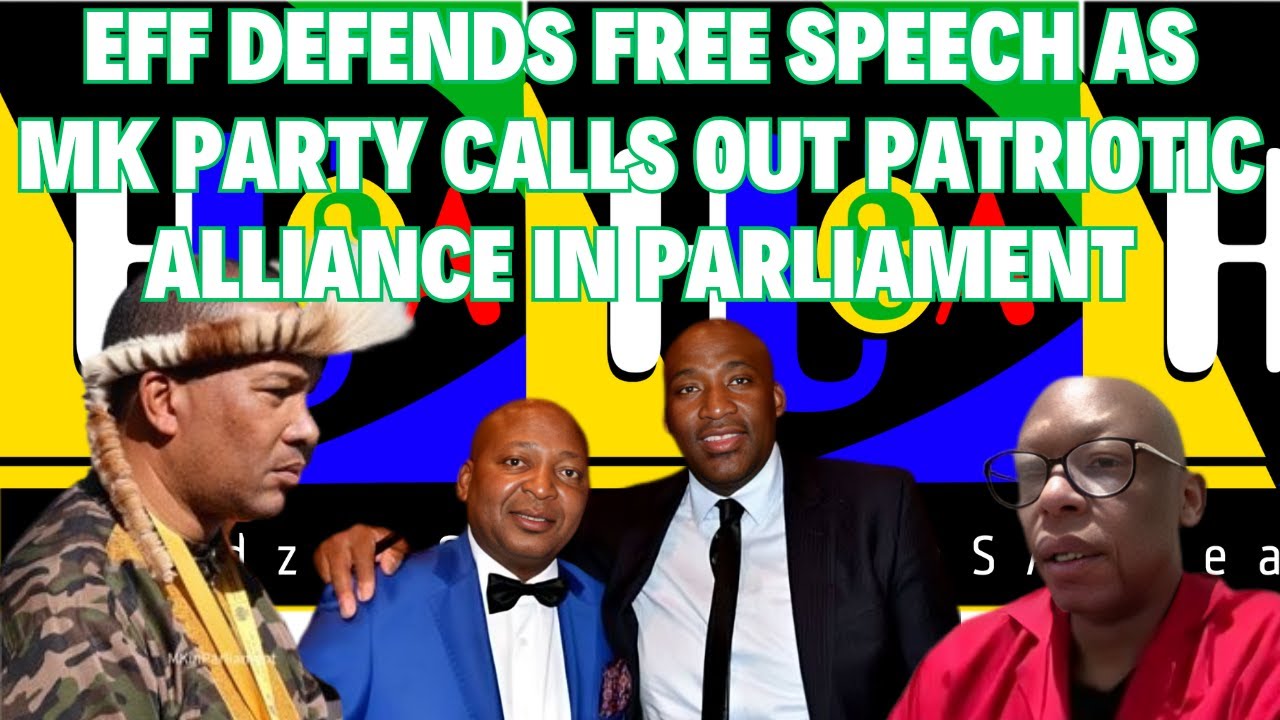 "Honourable Gangster" - MK Party MP Attacks Gayton McKenzie in Fiery ...