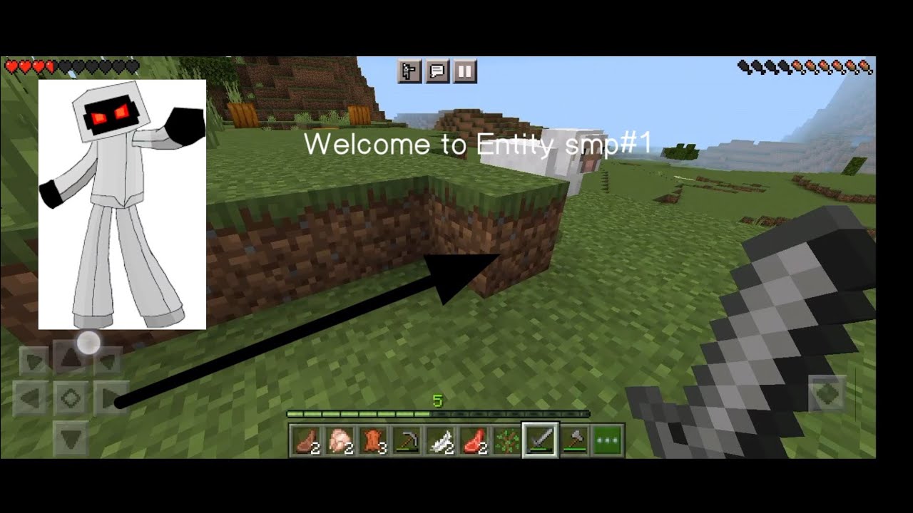 Entity smp is here - YouTube