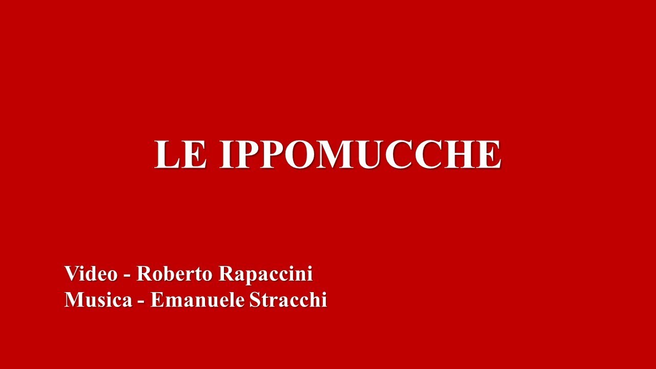 LE IPPOMUCCHE di Roberto Rapaccini - MUSICA di Emanuele Stracchi (tema ...