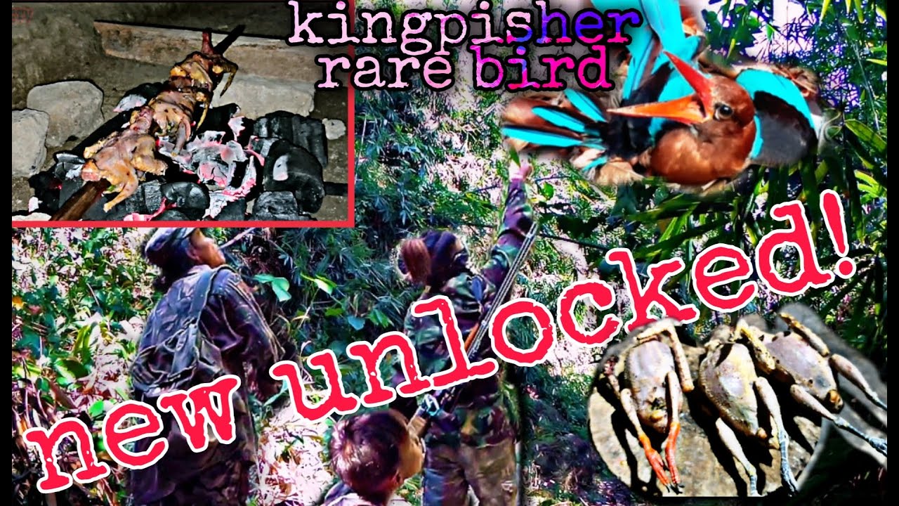 Ep03/bird hunting in the Philippines using air gun JR MANGIO TERRANO ...