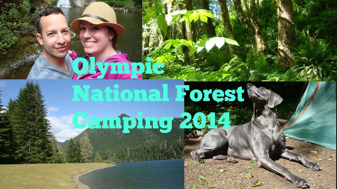 Camping:Olympic National Forest: REI base camp 6, Mountain House Meals ...
