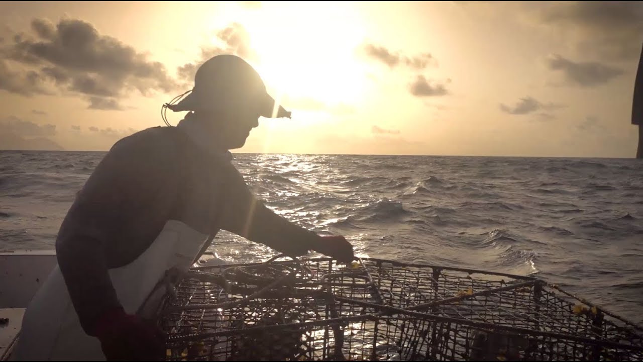 Saba Bank documentary 2016 - YouTube