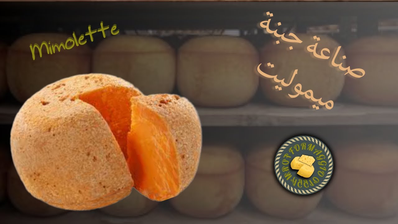 صناعة جبنة ميموليت منذ عام 1660م 2023 #كيفية_صنع_الجبنة #Mimolette - YouTube