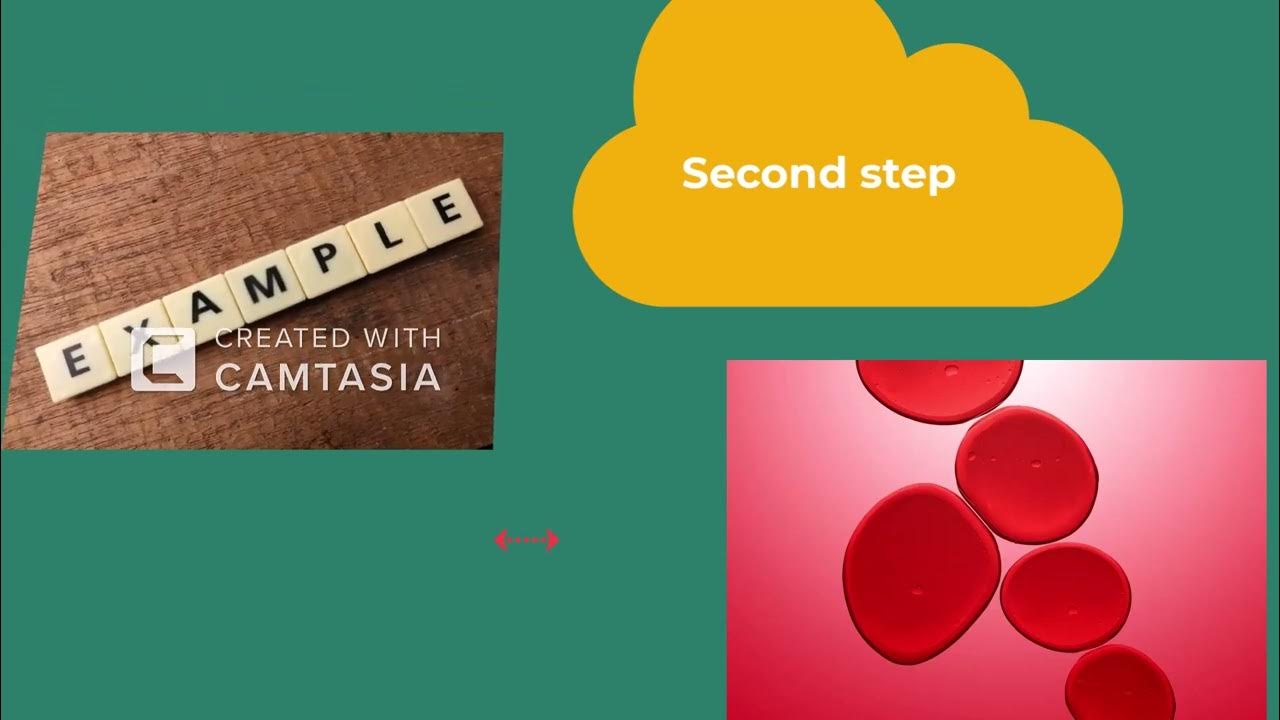 3 Steps to Master Learning: The Segmenting Principle by Richard E ...