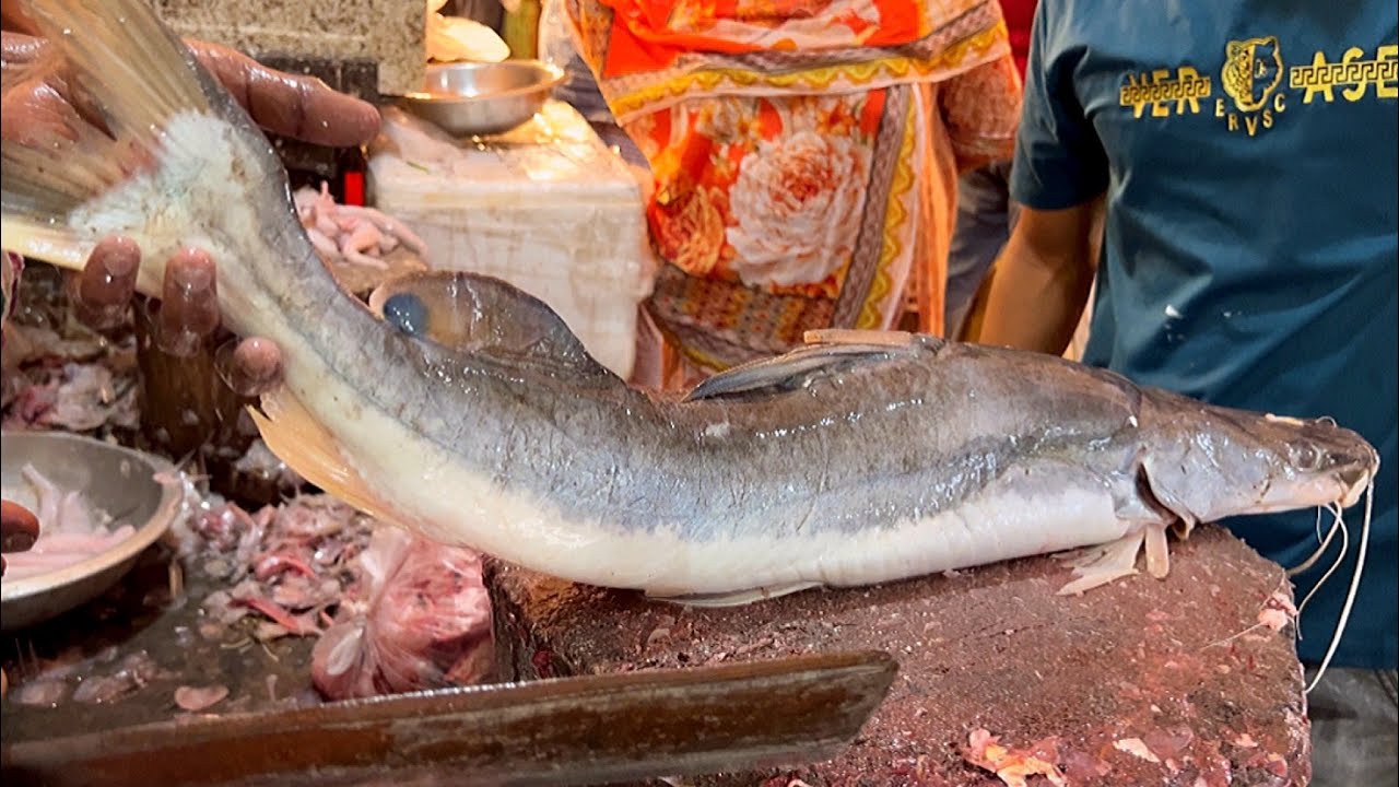 Amazing Big Ayer Fish Cutting In Fish Market | Catfish Fish Cutting ...