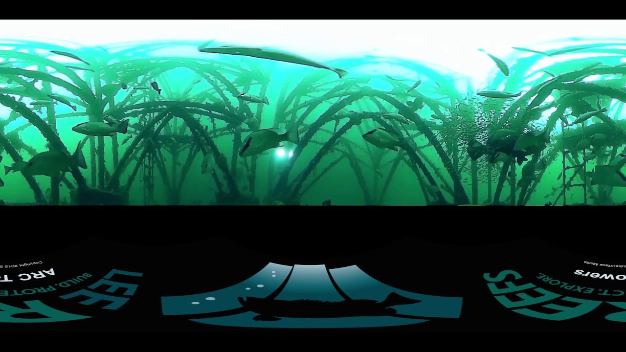 360 VR Arc Tower Goliath Grouper Artificial Reef - YouTube