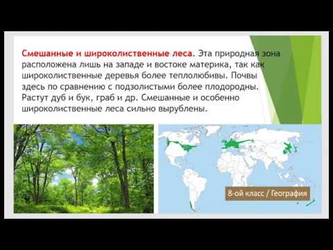“Dərs vaxtı”: 8-ci sinif dərsləri ( rus bölməsi) (16.03.2020)