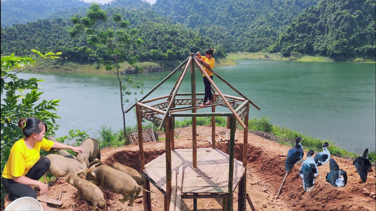Working every day, framing the roof of the hut, grazing pigs and ducks ...