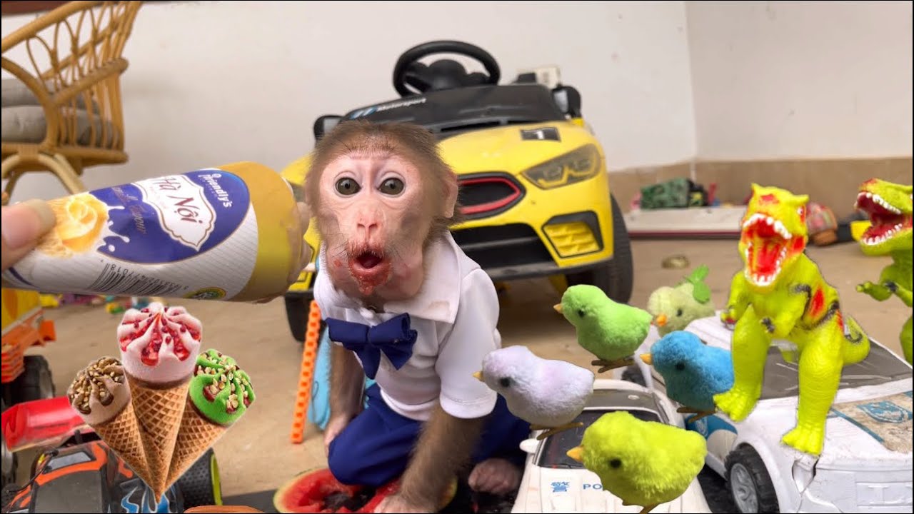 Monkey Baby Bon Tom| Bon Bon monkey and chicken crocodile dinosaur ...
