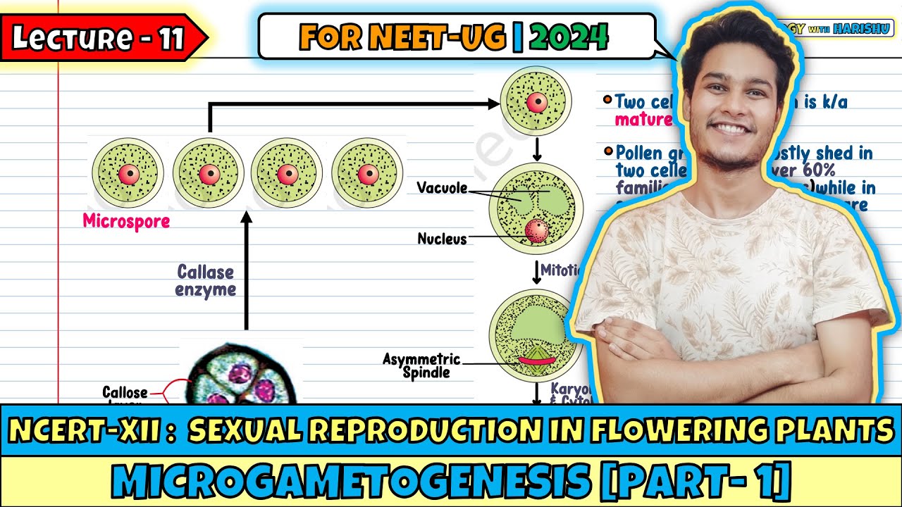 Lec 11- Microgametogenesis [Part- 1]| Sexual Reproduction in Flowering ...