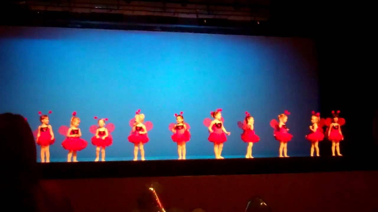 ladybug dance - YouTube