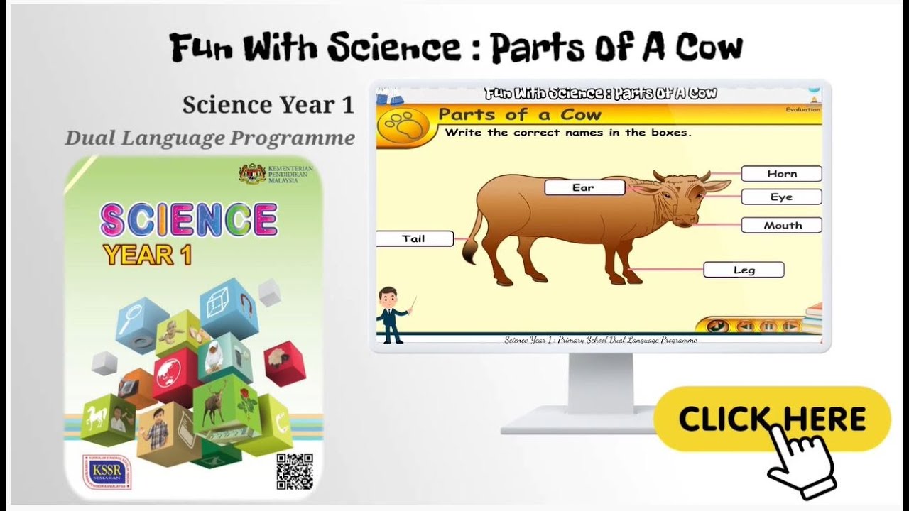 Year 1 Science Interactive Learning : Unit 5 : Animal's Body Part ...