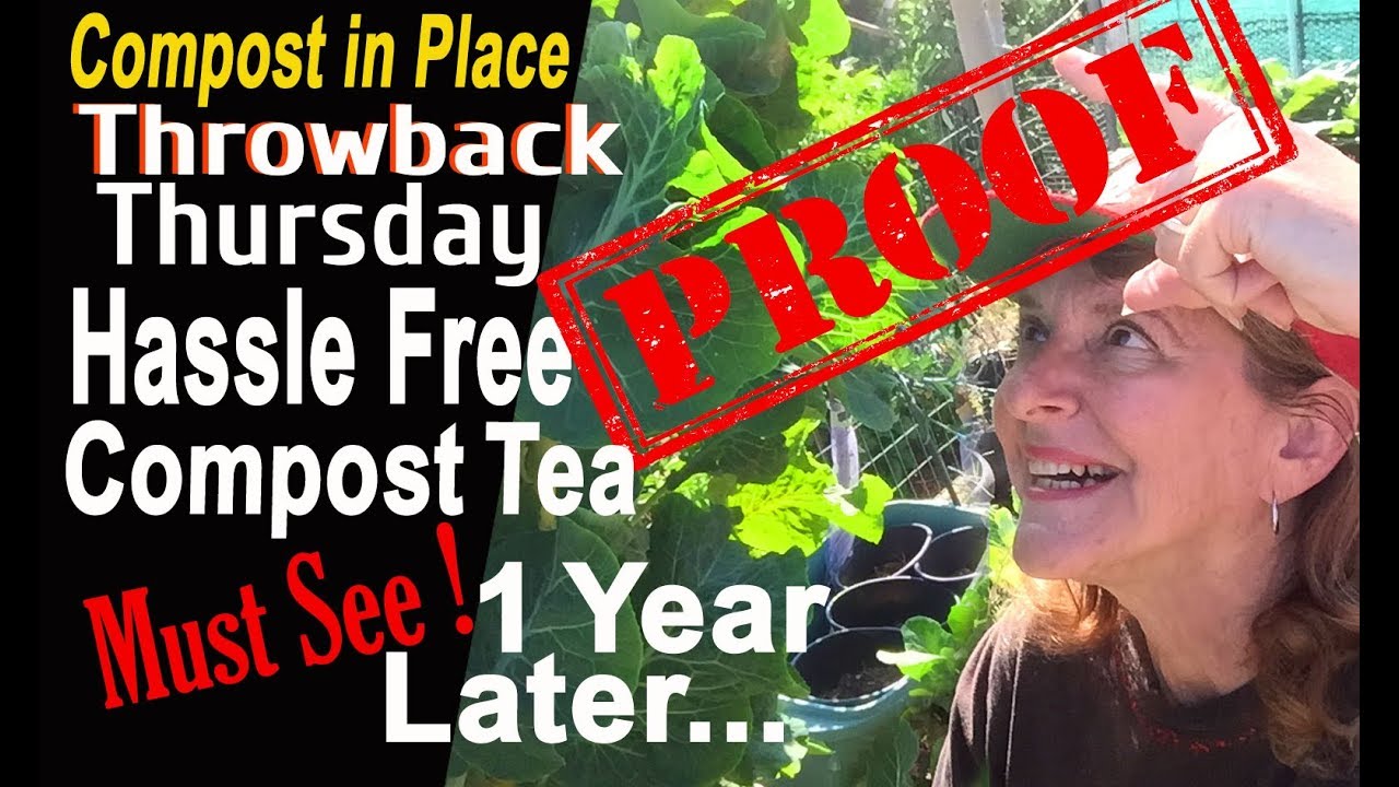 FREE DIY Compost Tea MAKES Plants Grow BIG, EASY Compost In Place-SEE ...