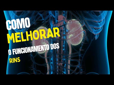 Como melhorar o funcionamento dos Rins - YouTube