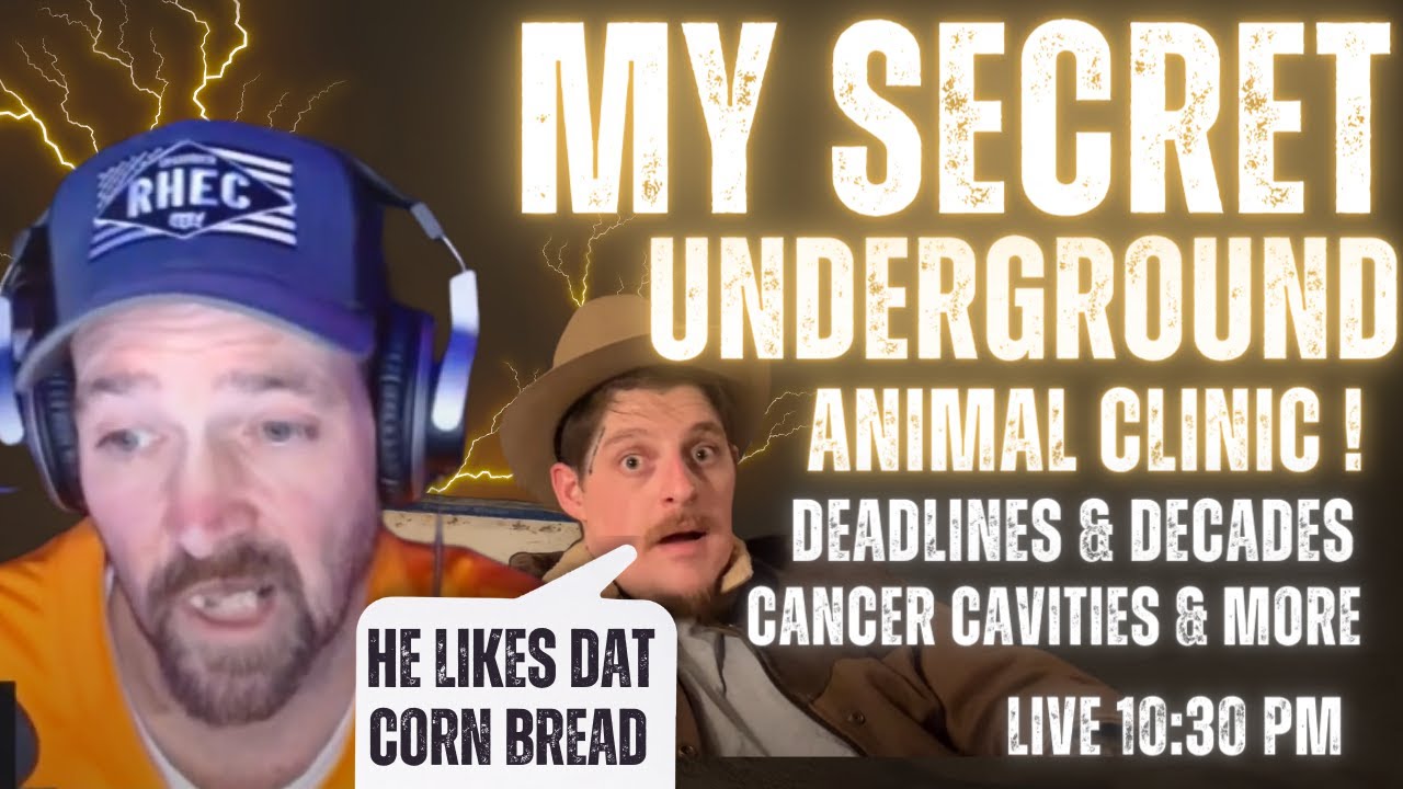 my super secret illegal underground animal clinic - YouTube