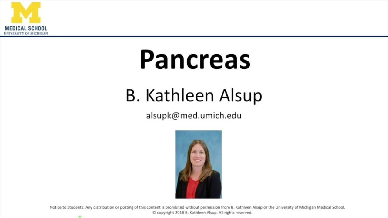 Pancreas Lecture - YouTube