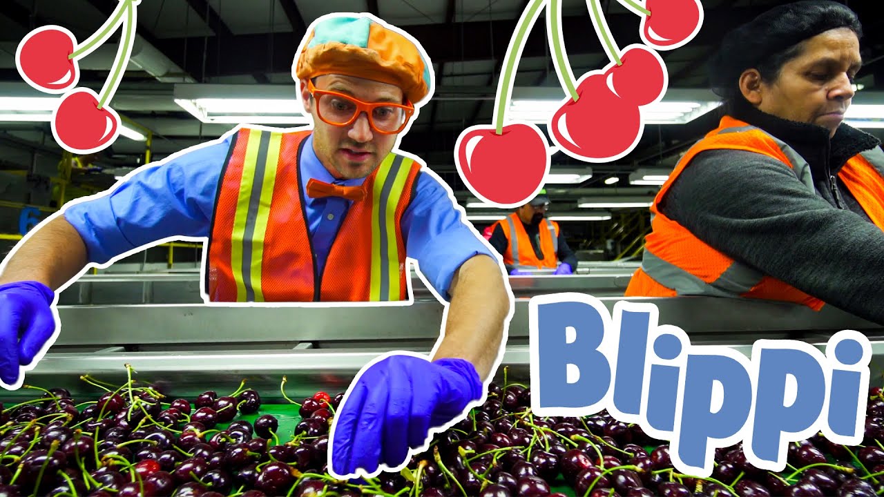 Cherries From Farm to Factory | Explore with BLIPPI!!! | Educational ...