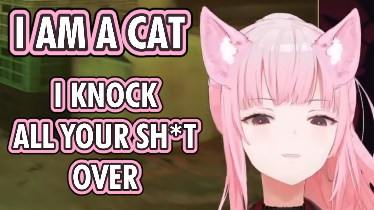 Calli Is A Cat And Will Knock All Your Stuff Over | Stray [Hololive EN ...