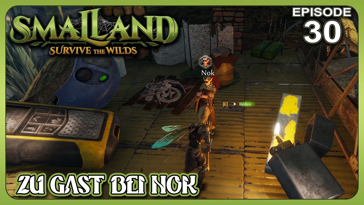 Der schwere Weg bis zu NOK´s Haus #30 🧚‍♂️ Smalland 🍇 Lets Play Deutsch ...