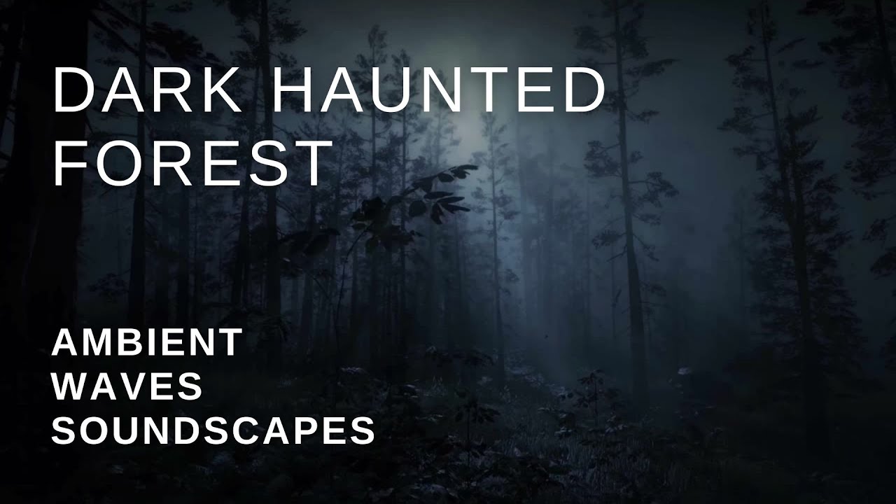 Dark Haunted Forest Soundscape | Spooky Ambience - YouTube