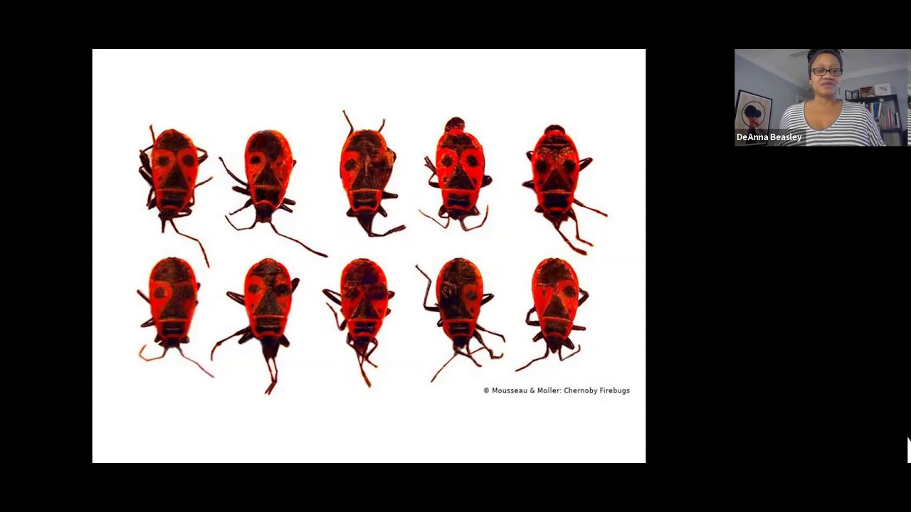 Healthy Cities: What Insects Tell Us About Urban Living with Dr. DeAnna ...